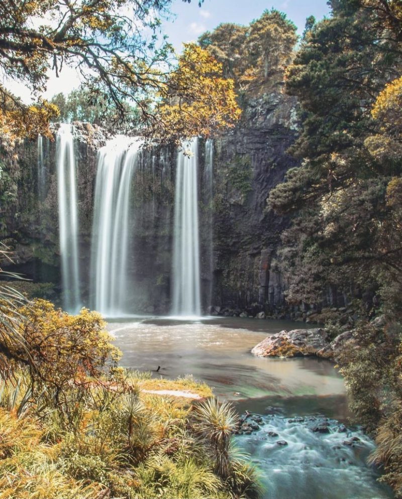 Twelve dog friendly waterfalls you must visit - Dog Friendly New Zealand